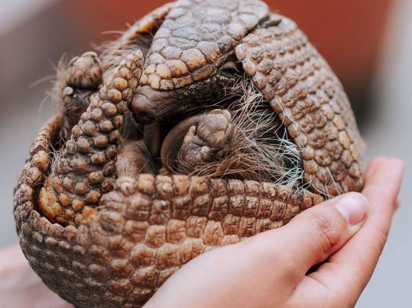 Wild Discovery | The Zoo That Interacts With You