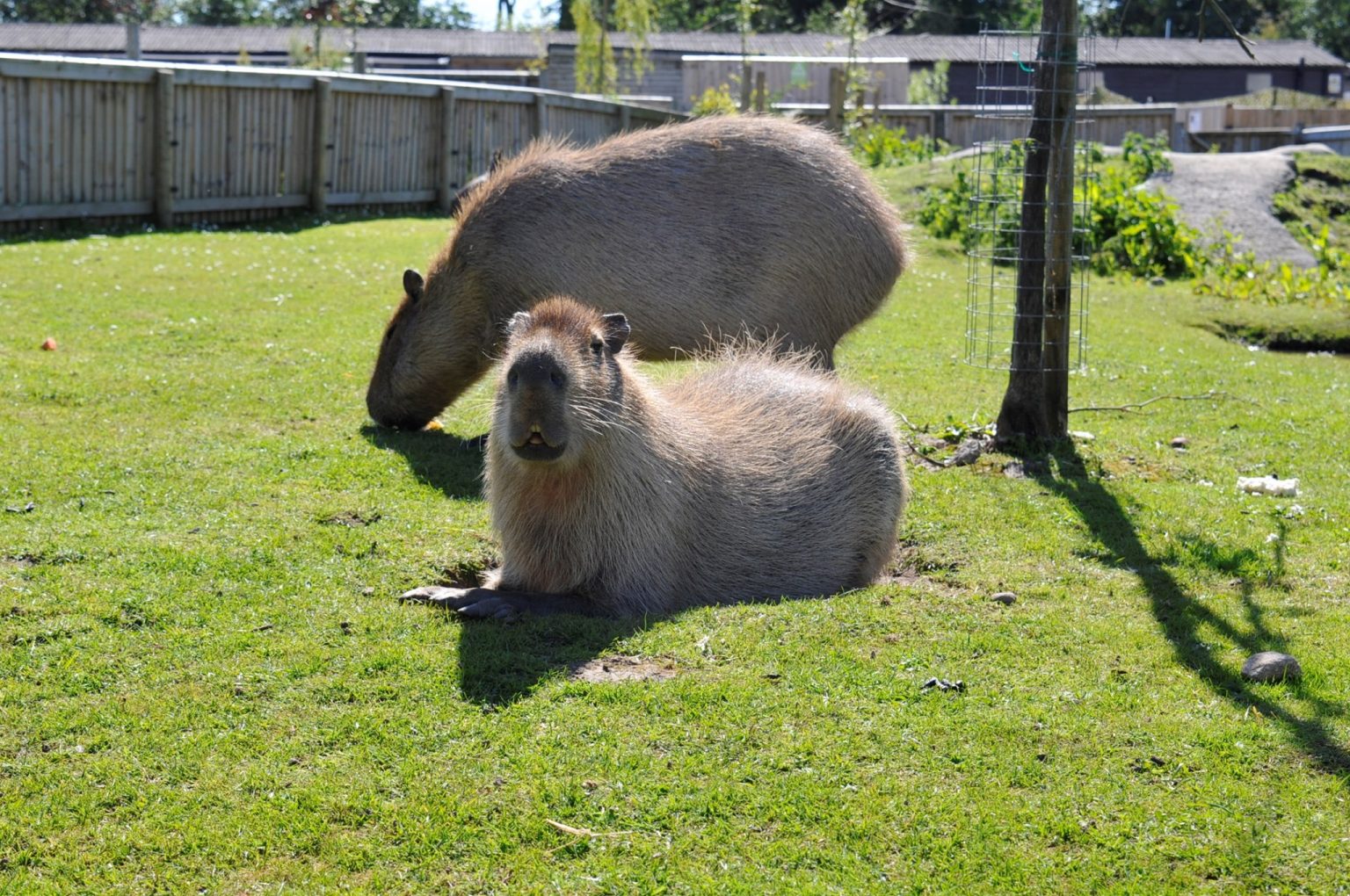 Wild Discovery | The Zoo That Interacts With You