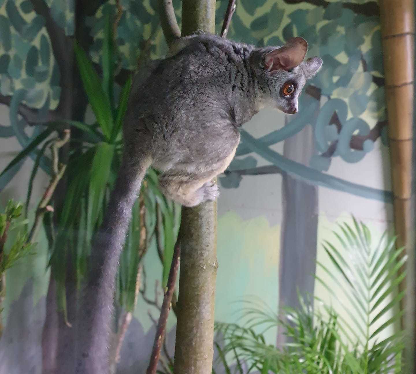 Wild Discovery | The Zoo That Interacts With You