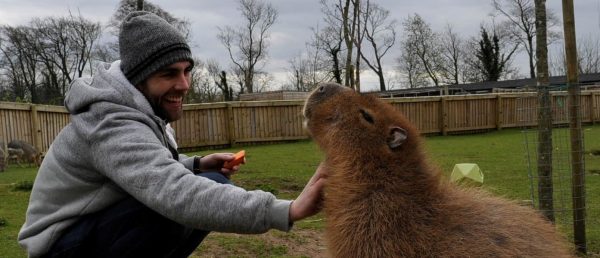 Wild Discovery | The Zoo That Interacts With You