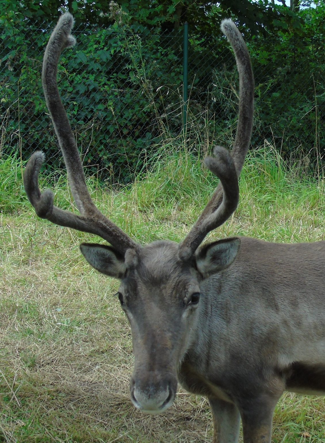 Wild Discovery | The Zoo That Interacts With You