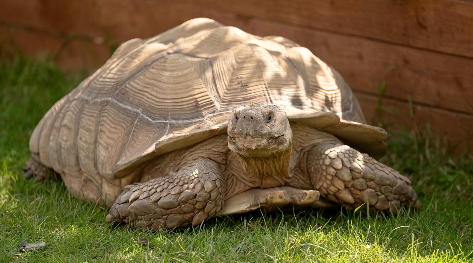 Wild Discovery | The Zoo That Interacts With You