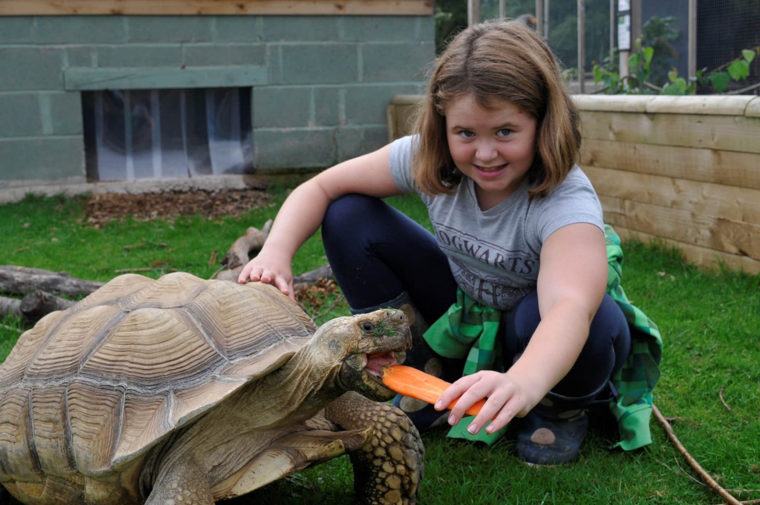 Wild Discovery | The Zoo That Interacts With You