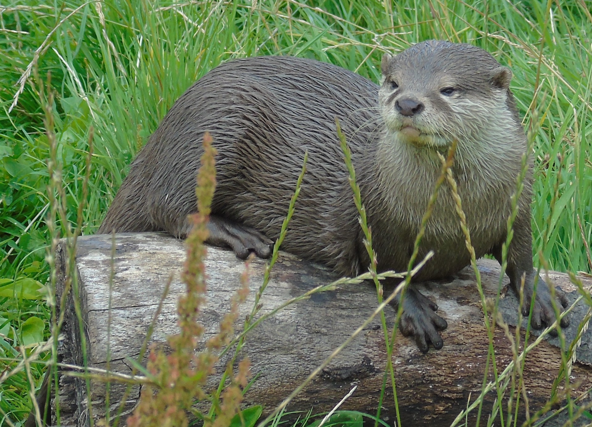 Wild Discovery | The Zoo That Interacts With You