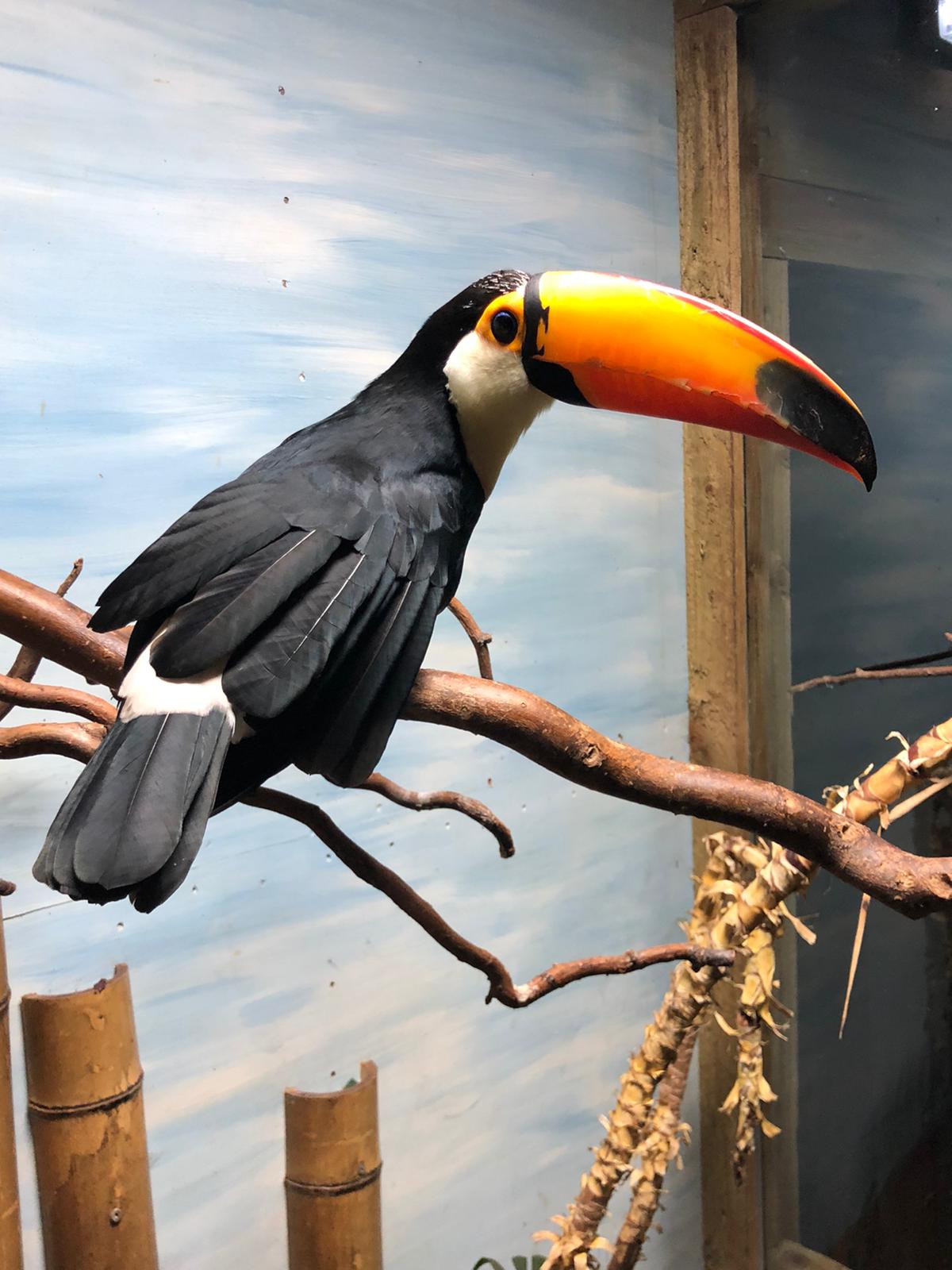 Wild Discovery | The Zoo That Interacts With You