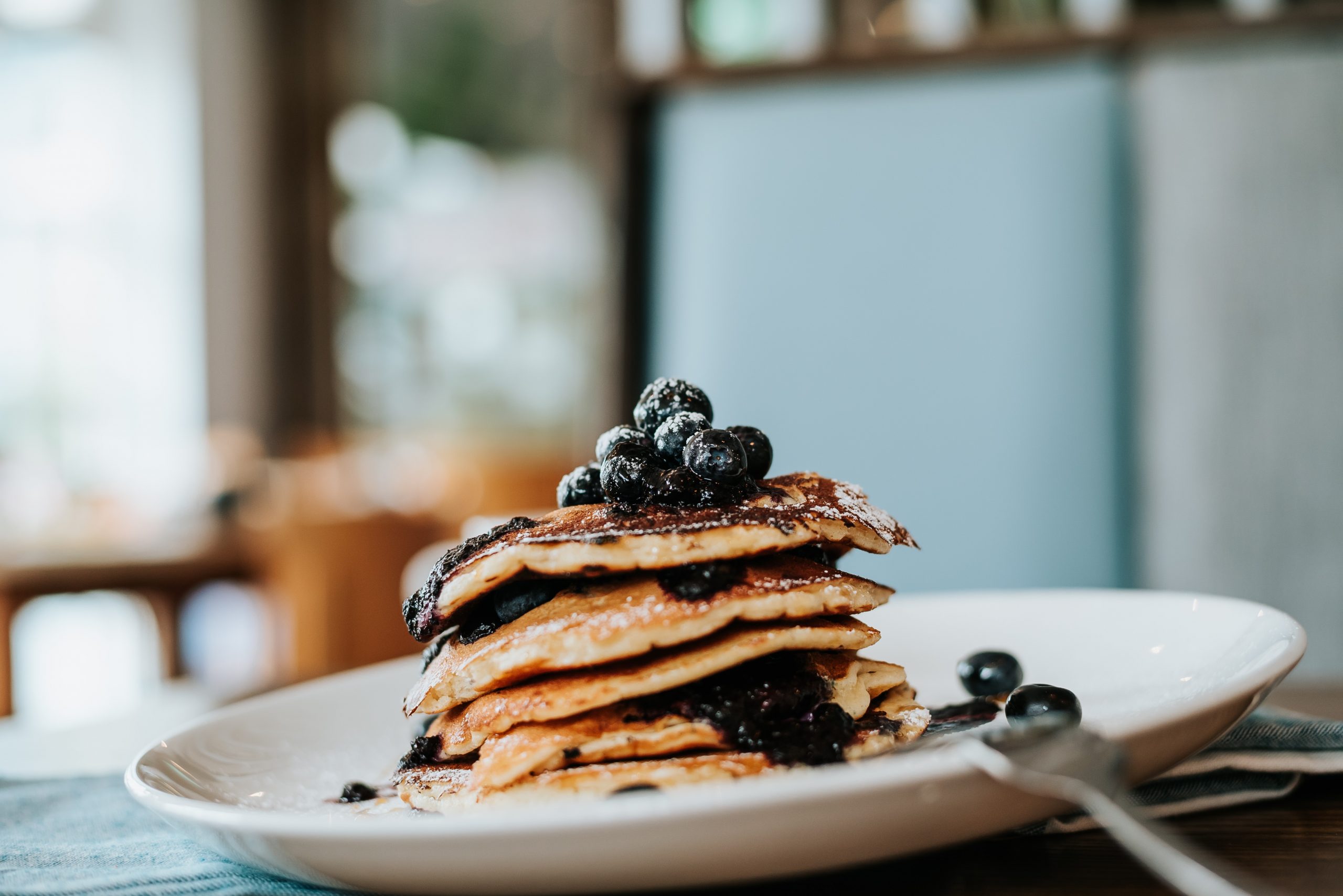 Wild Discovery | The Zoo That Interacts With You