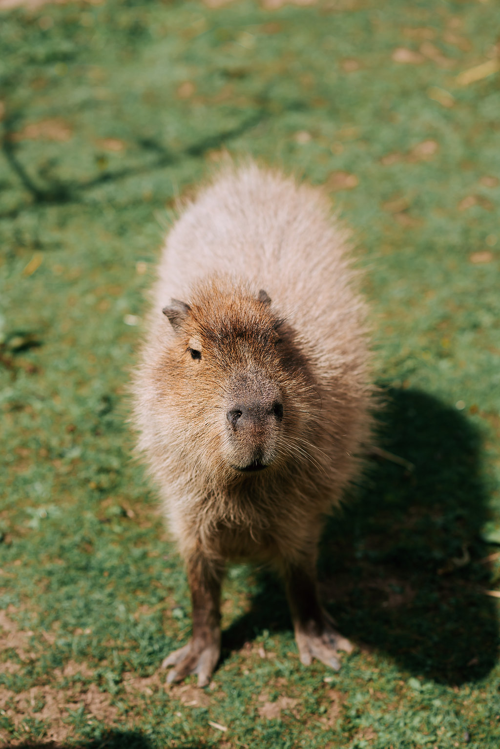 Wild Discovery | The Zoo That Interacts With You