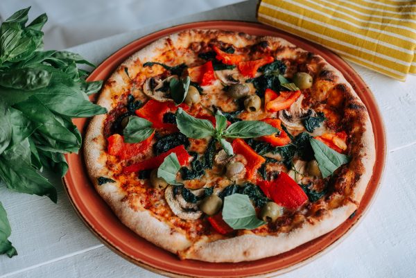 Wild Discovery | The Zoo That Interacts With You