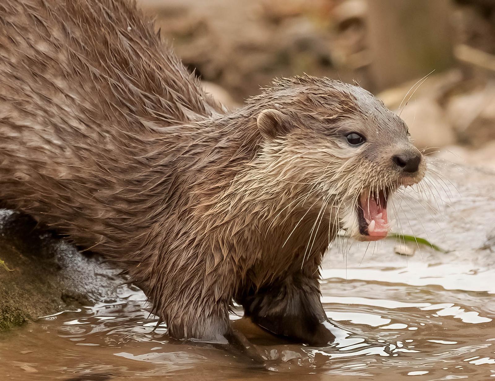 Wild Discovery | The Zoo That Interacts With You