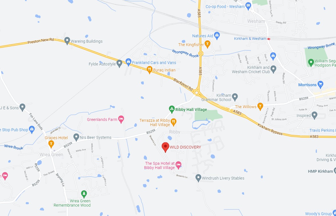 Wild Discovery | The Zoo That Interacts With You