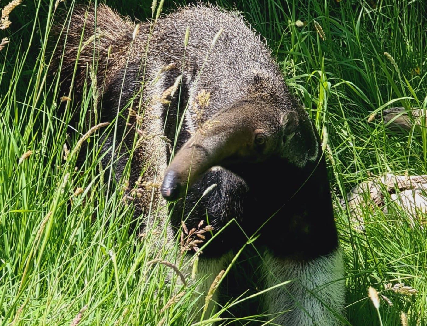 Wild Discovery | The Zoo That Interacts With You